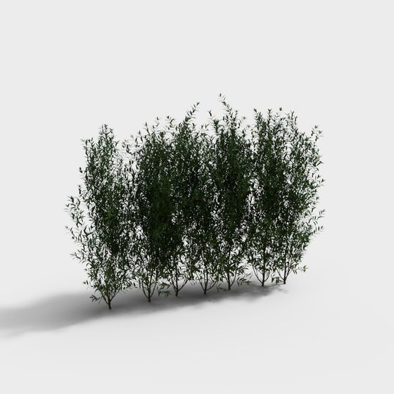 Bamboo Forest 3D Model