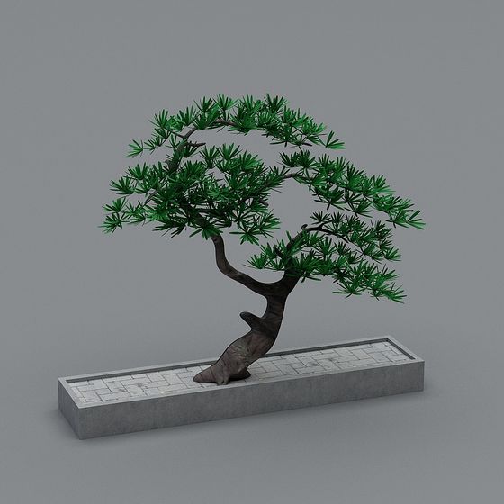 Detailed Bonsai Tree 3D model for Creative Works