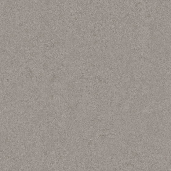 Gray Wall Paint 3D Model – Modern Finish Free