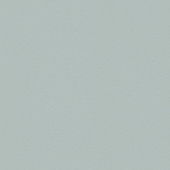 Gray Carpolya Velvet Wall Paint 3D Model – Textured Finish
