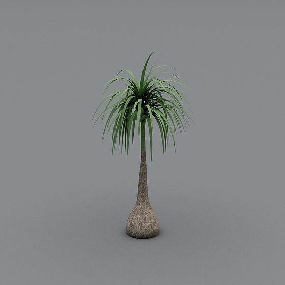 Realistic Low-Poly Palm Tree 3D Model