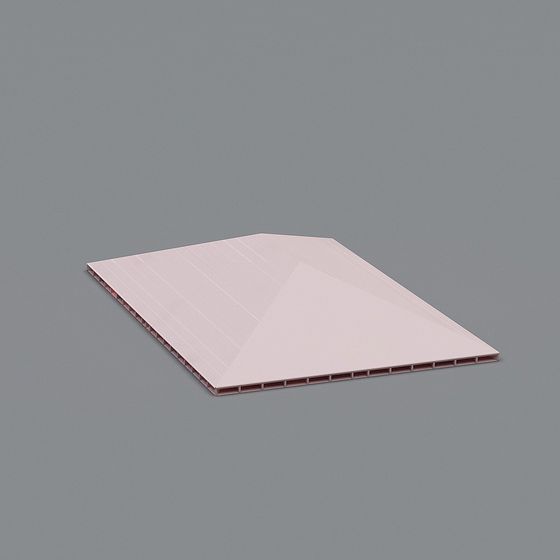 Future Wing 3D Model