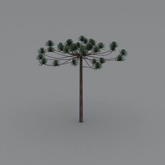Desert Dragon Blood Tree 3D model