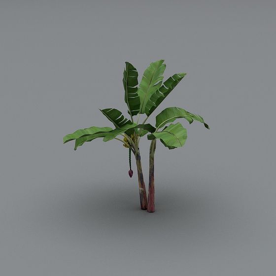 Realistic Banana Tree 3D model for Creative Projects