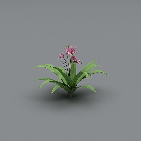 Charming Low-Poly Lily Flower 3D model