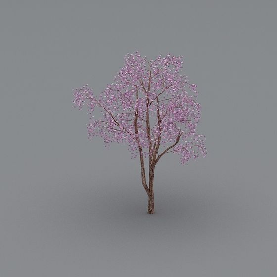 Spring Cherry Blossom 3D model