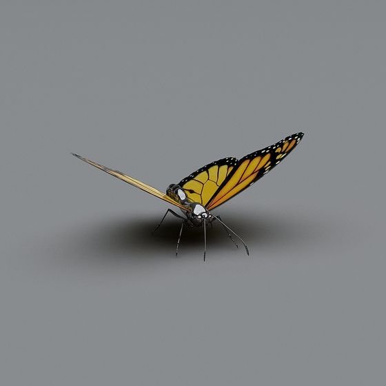 Monarch Butterfly 3D Model – Low-Poly Nature Asset