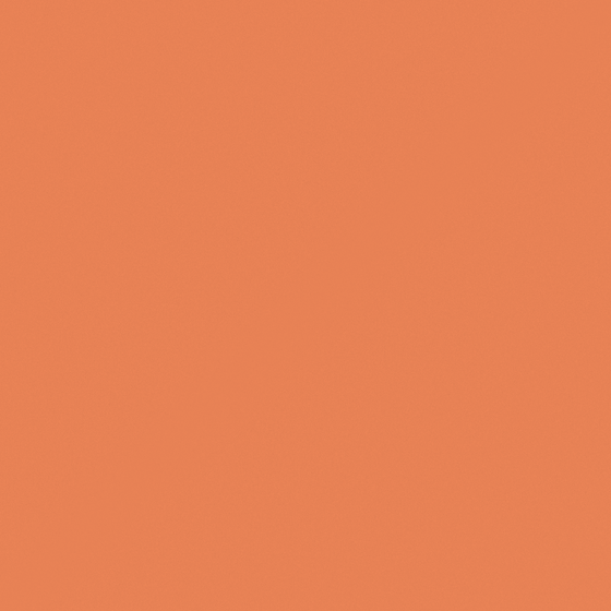 Earth Color Wall Paint 750 Carrot – Warm Interior Hue