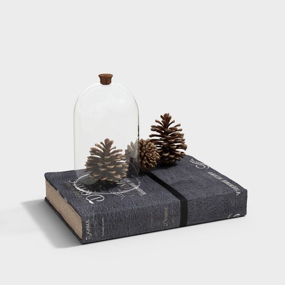 Vintage Book and Pinecone 3D model for Creative Projects