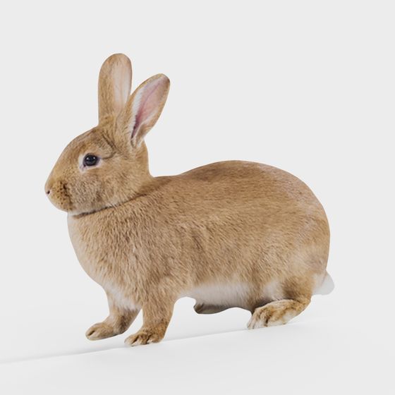 Forest Sprite Rabbit 3D model