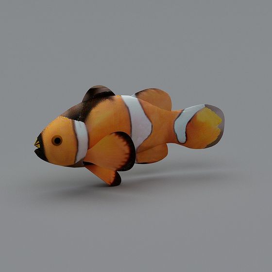 Vibrant Clownfish 3D Model