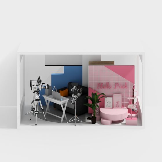 Pink Studio Low Poly High Detail 3D model