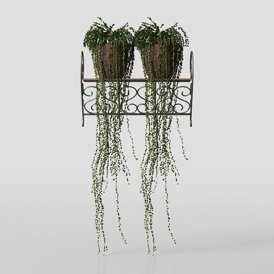 Hanging Plant Rack 3D model