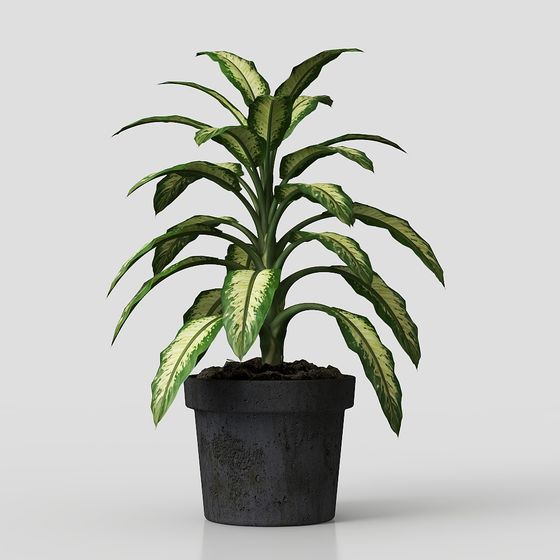 Indoor Green Plant 3D Model for Designers