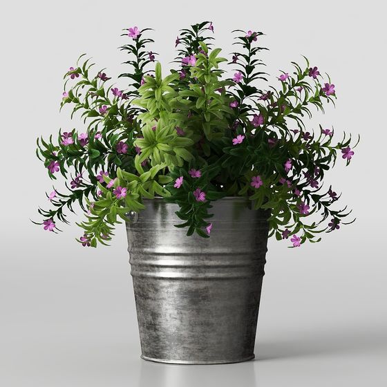 Vibrant Potted Plant 3D Model – Low-Poly Natural Decor