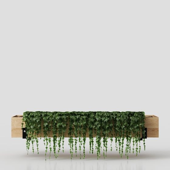 Plantes en pot vertes Dijin