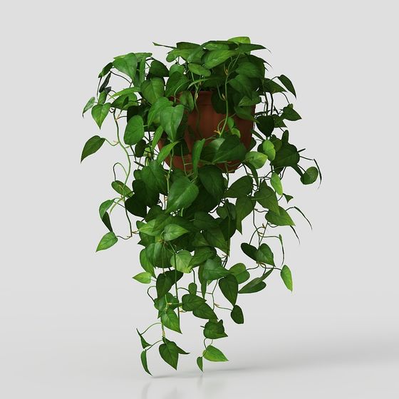 Hanging Plant 3D Model for Designers