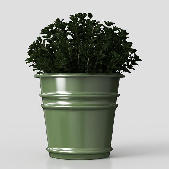 Charming Garden Potted Plant 3D model