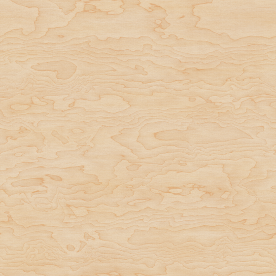 Wood Color High Gloss Wood Grain Finish | 4K Textures