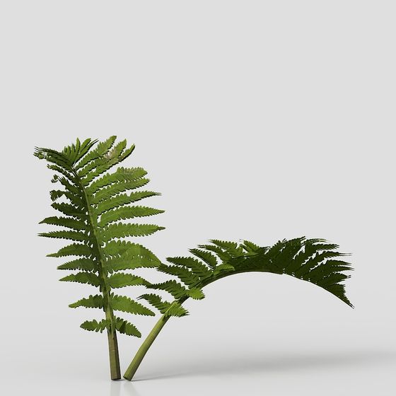 Charming Low-Poly Fern 3D Model