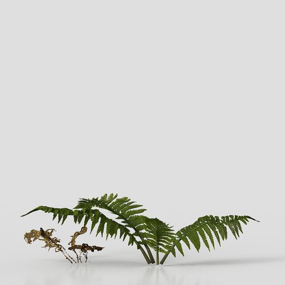 Low-Poly Fern 3D Model – Stylized Green Foliage