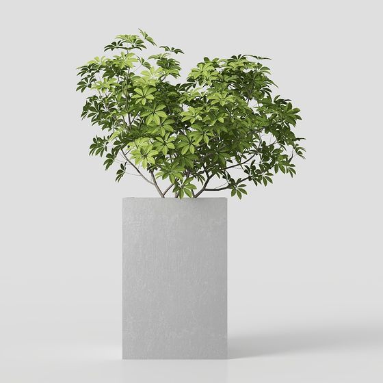 Urban Green Plant Pot 3D Model – Low Poly Natural Decor