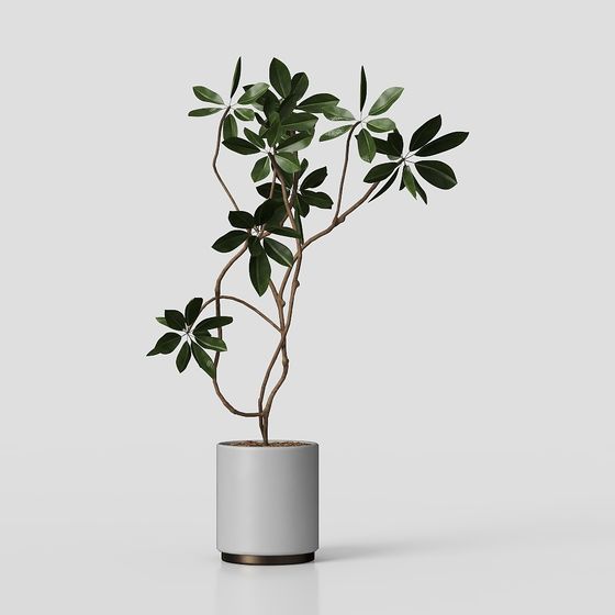 Vibrant Indoor Greenery 3D Model – Low-Poly Nature Decor