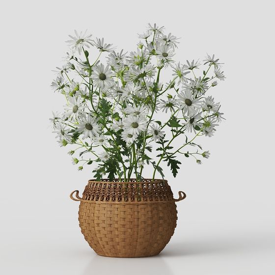 Daisy Flower Basket Low Poly 3D model
