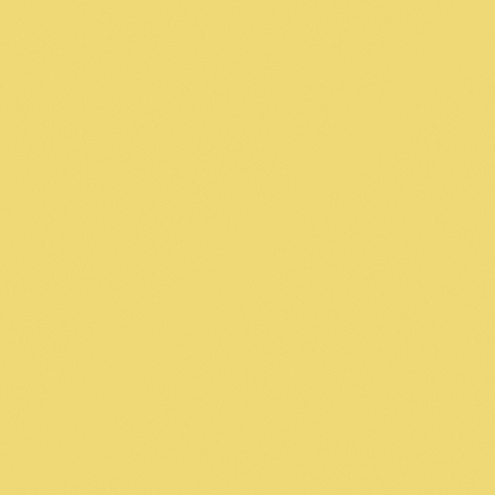 Yellow Emulsion Paint Matte 3D Model - Free