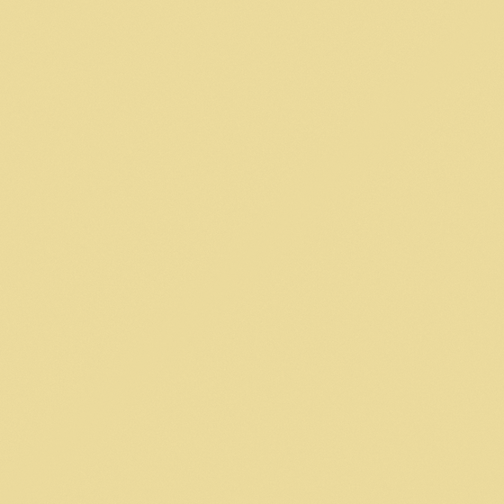 Yellow Emulsion Paint High Gloss 3D Model – Free