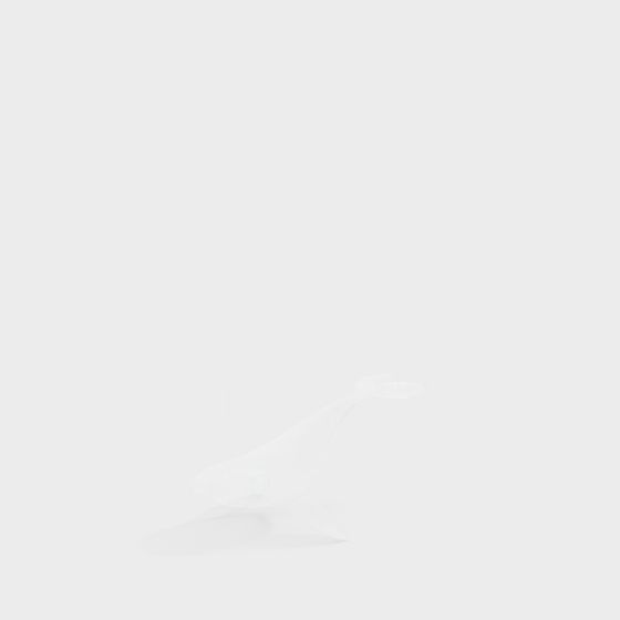 Elegant Low-Poly Whale 3D model