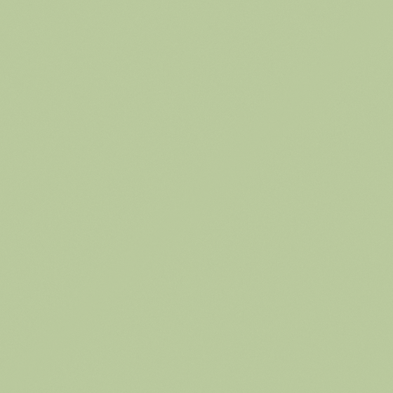 Emulsion Paint - Matte Green 3D Model – Bright Free