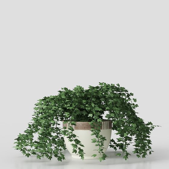 Hanging Greenery 3D Model – Modern Indoor Plant