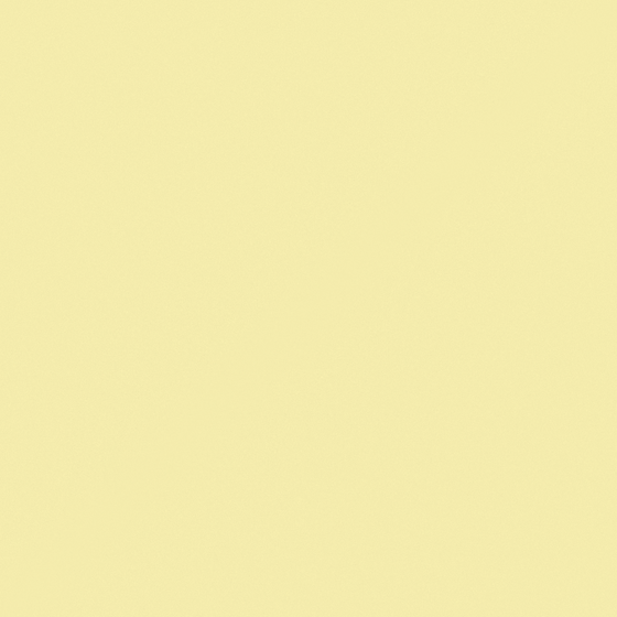 Privet Yellow Wall Paint 3D Model – Vibrant Interior Finish