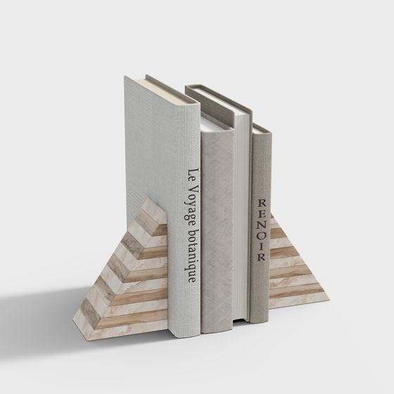Triangular Geometric Bookshelf 3D model