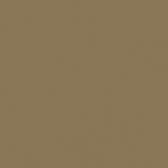 Beige Carpolly Mountain Hazelnut Paint 3D Model – Warm Beige Finish