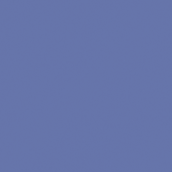 Blue Carpolly Solemn Blu-Ray Wall Paint 3D Model