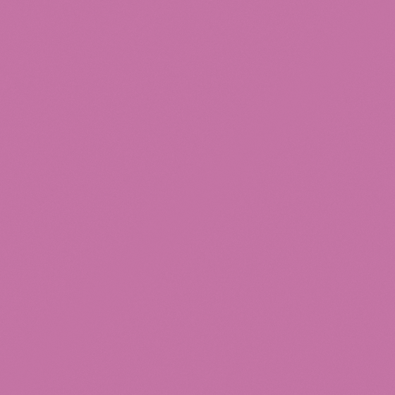 Wall Paint 3D Model – Pink Free