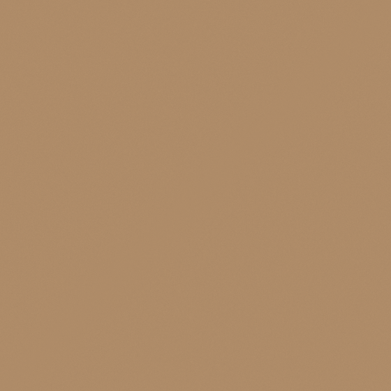 Natural Wood Color Wall Paint 3D Model – Warm Texture