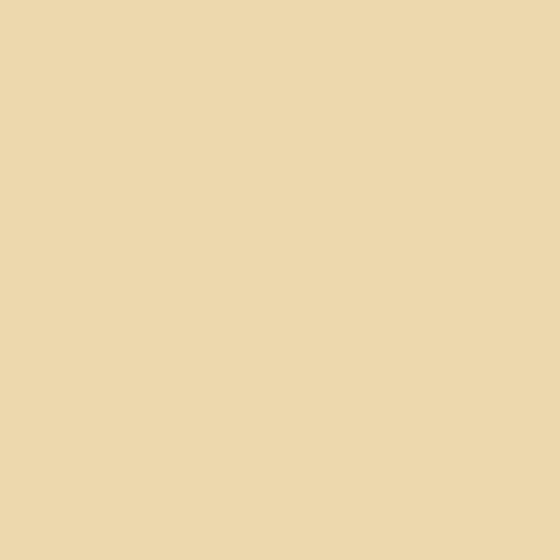 Carpolly White Kansas Corn Wall Paint 3D Model – Bright Texture