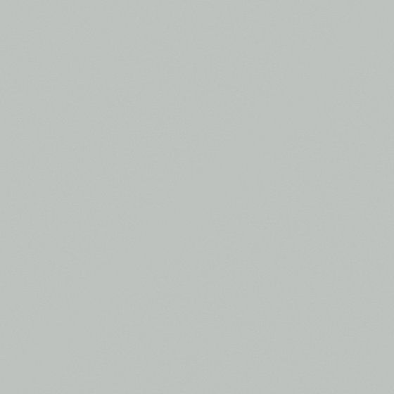 Chic Carpolly Phantom Grey Wall Paint – Modern Interior Finish