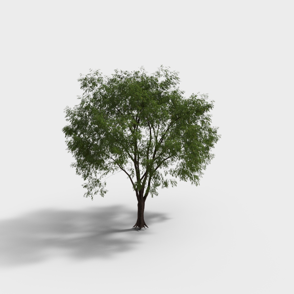 C4D Photoreal Tree Growth 3D Model