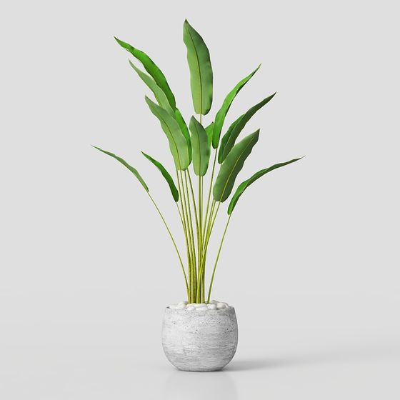 Tropical Greenery 3D model for Modern Design