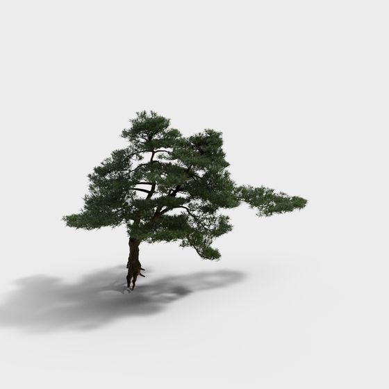 Realistic Low-Polygon Pine Tree 3D Model – Natural Detailing