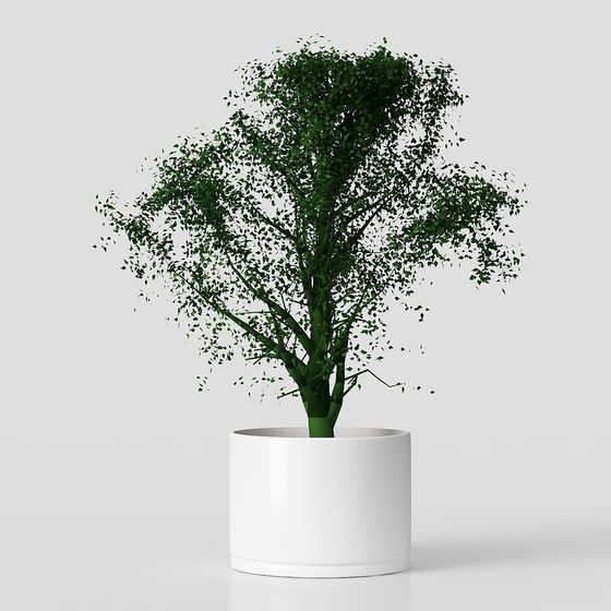 Vibrant Indoor Potted Tree 3D model