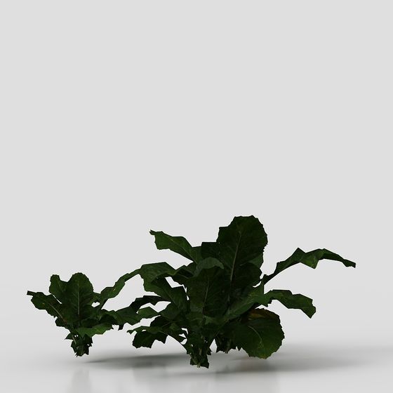 Low-Poly Wild Vegetation 3D model
