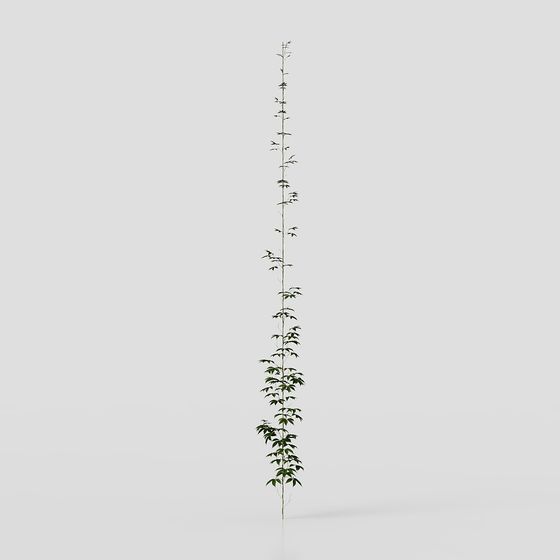 Low-Poly Ivy 3D Model – Vibrant Nature Asset