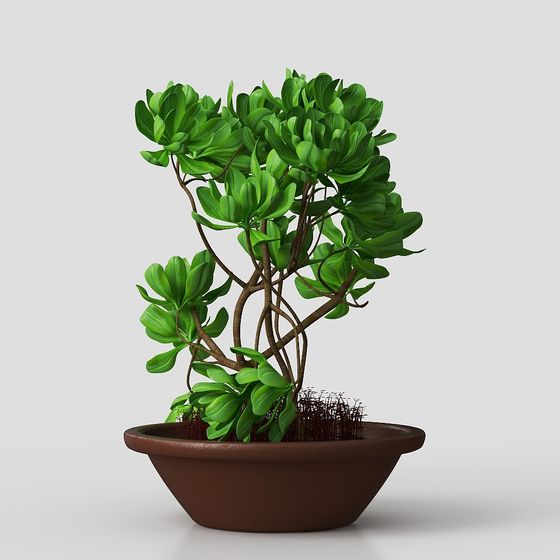 Realistic Potted Plant 3D Model