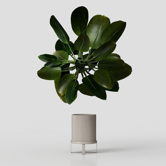 Low Poly Greenery and Planter 3D model