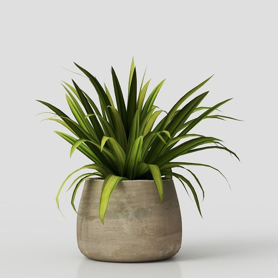 Low Polygon Concrete Planter Plant – Rustic Green Foliage